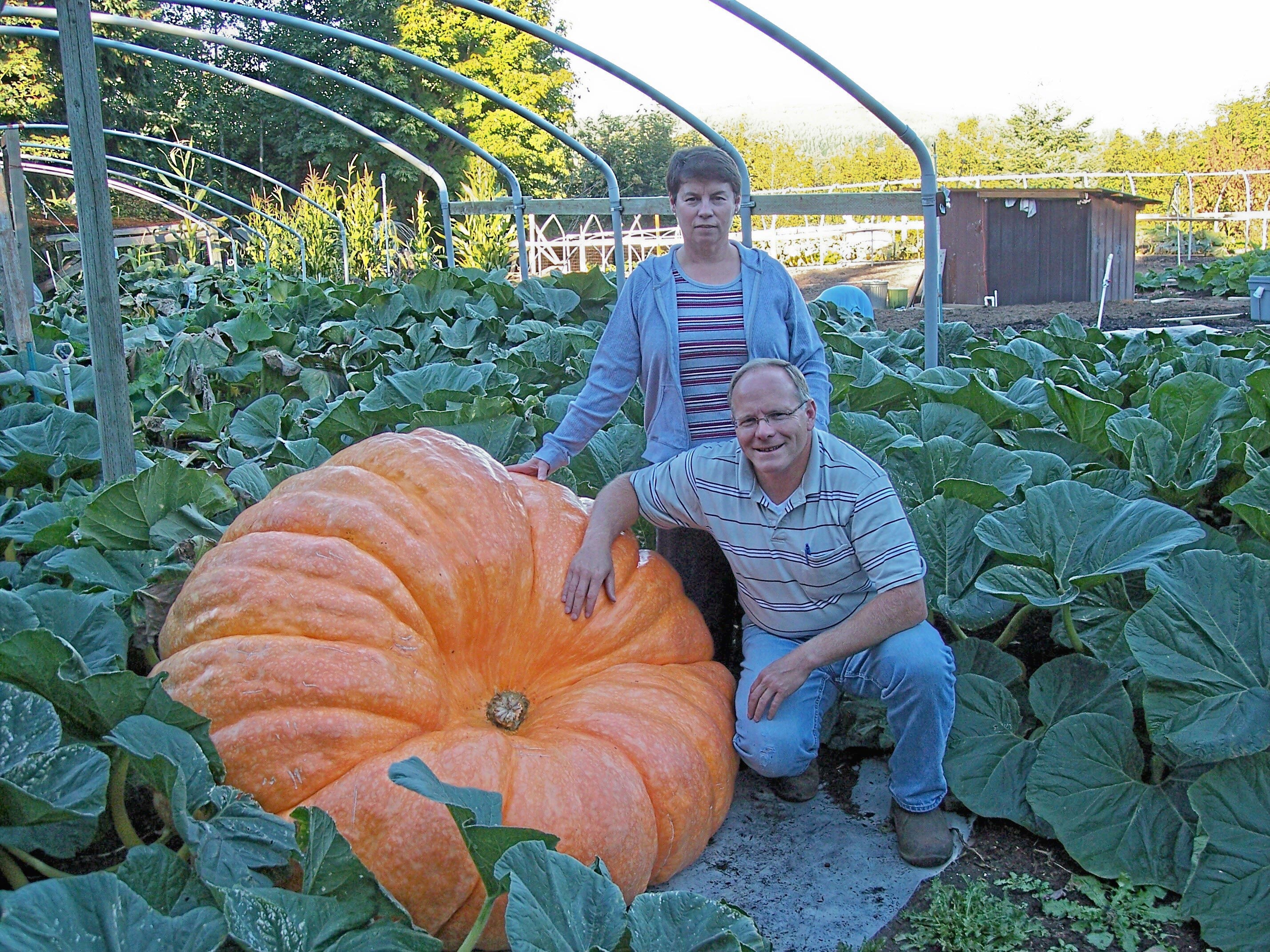 Cherokee Language Search : pumpkin the biggest fruit : iya wedequv ...